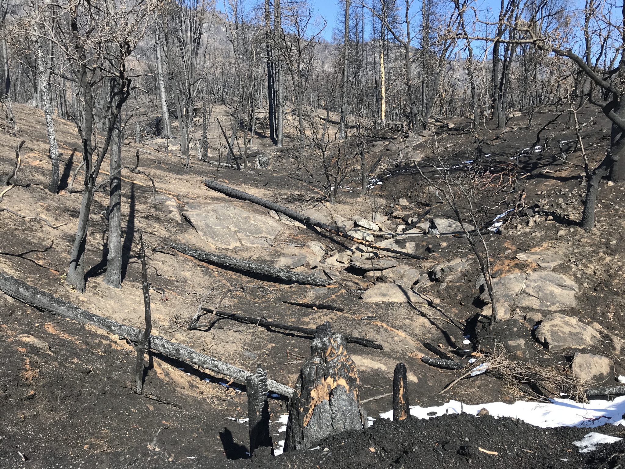Don’t Let a Fire Disaster Turn Into an Erosion Disaster | ENGEO