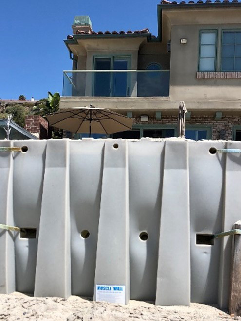 Performance of Short-Term Beach Erosion Mitigation at Capistrano Bay ...