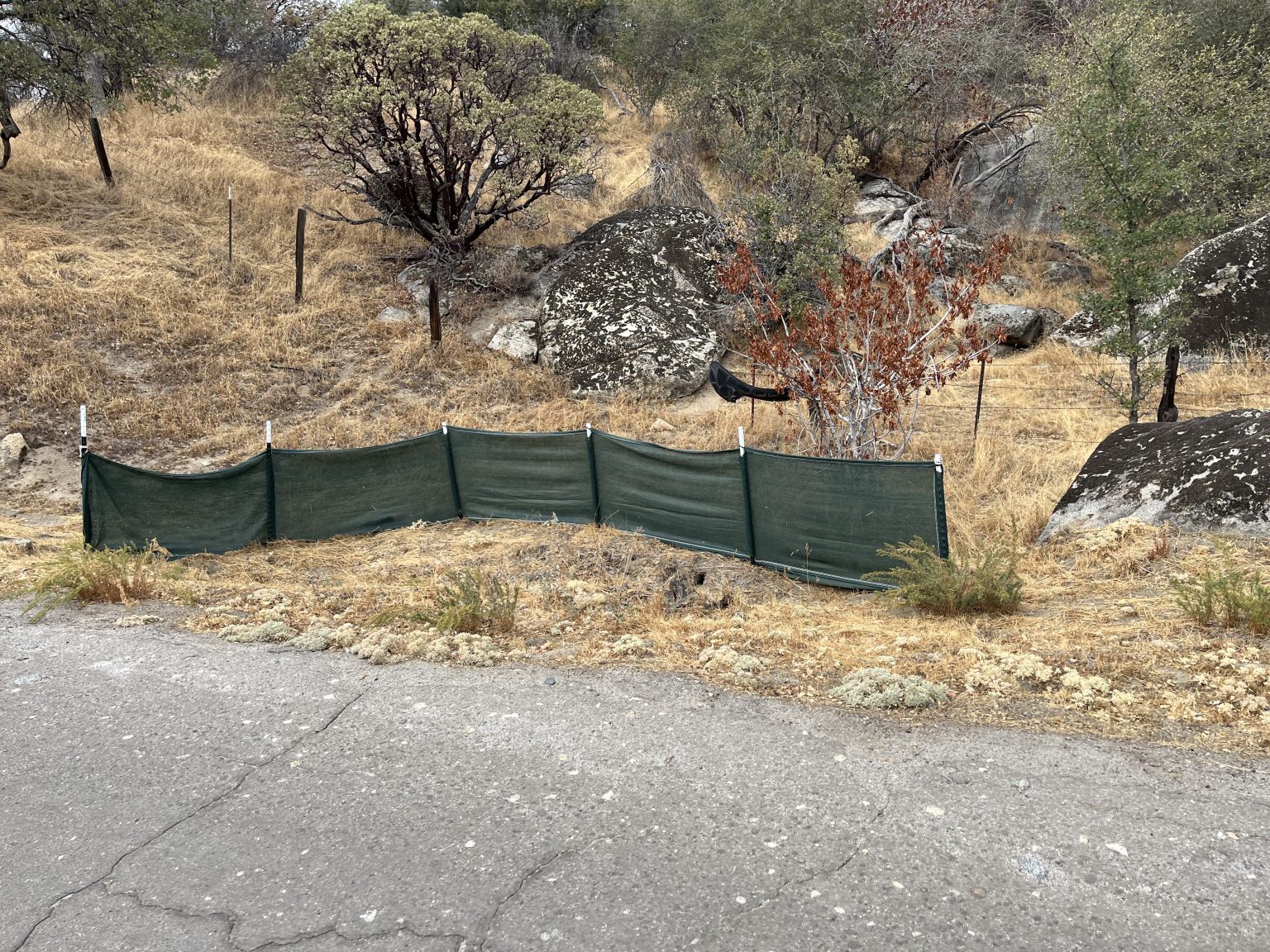 Creek Fire Post-Fire Erosion Mitigation Measure | ENGEO