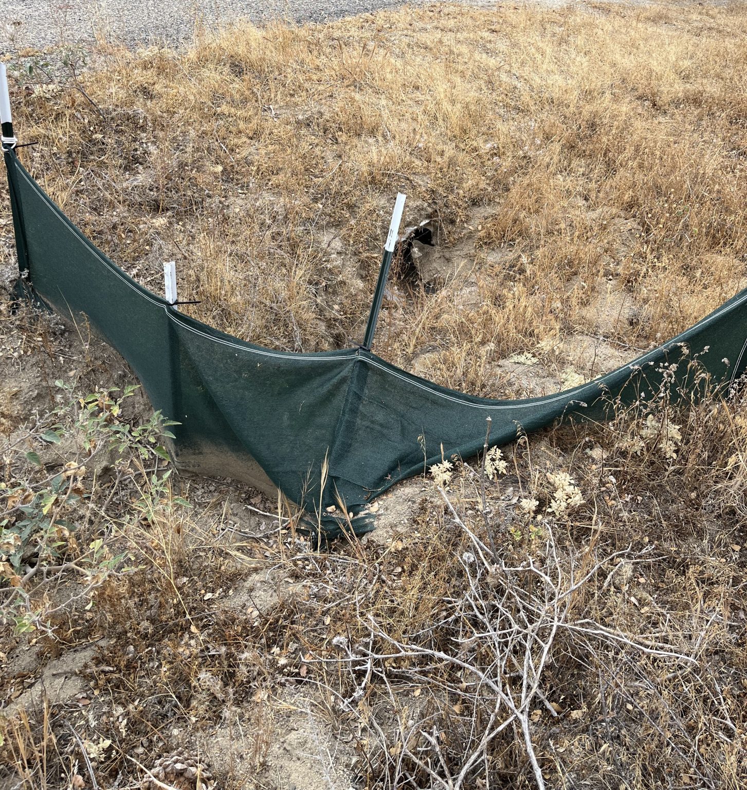 Creek Fire Post-Fire Erosion Mitigation Measure | ENGEO